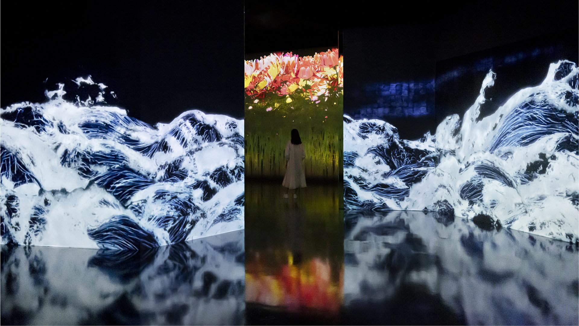 Short tour of the exhibition “teamLab: Impermanent Flowers Floating in ...