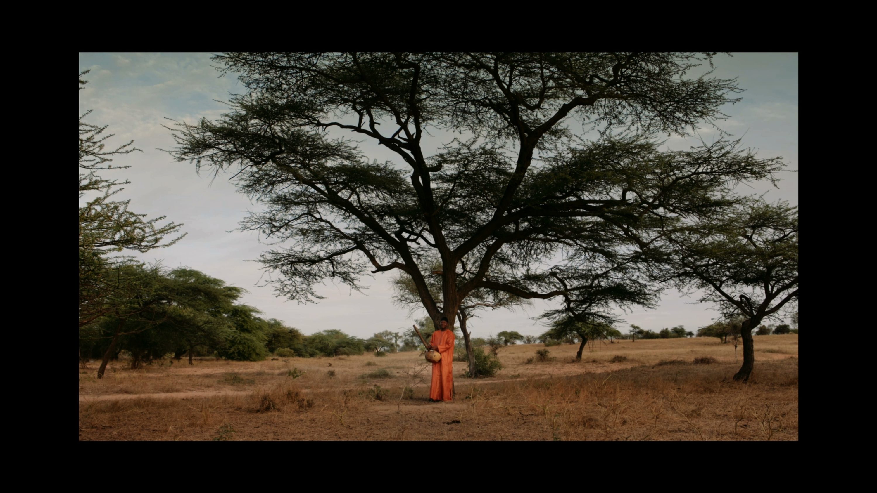 Kumu Documentary: The Forest Maker - Kumu kunstimuuseum