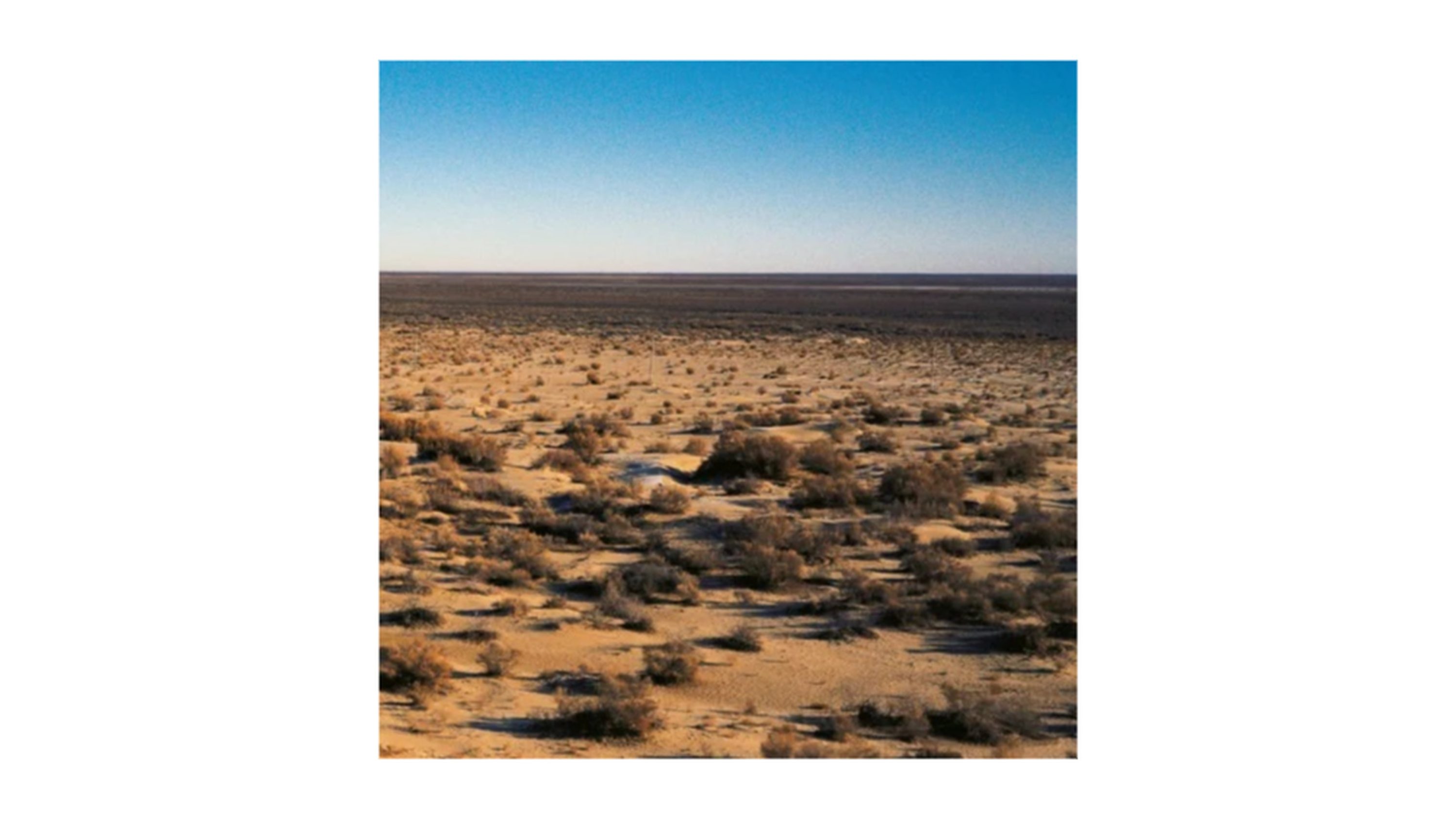 Kumu Dokumentaal: Araali meri. Kalapüük nähtamatus meres - Kumu ...