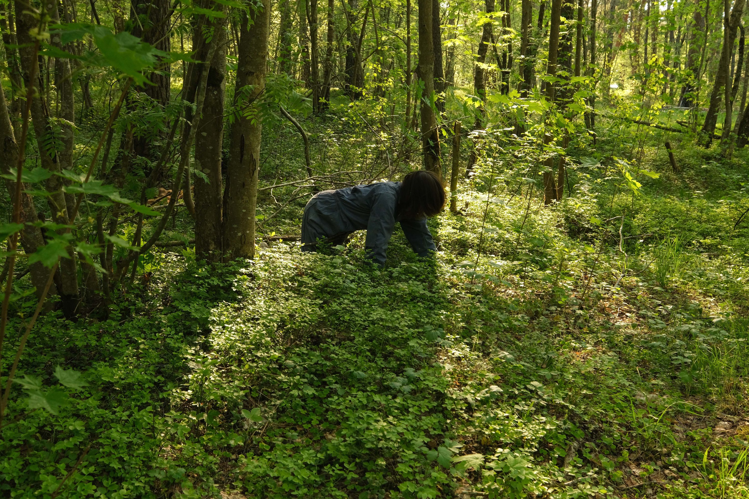 Cancelled! Ecosomatic tour: Bodying with places, faces and matters ...