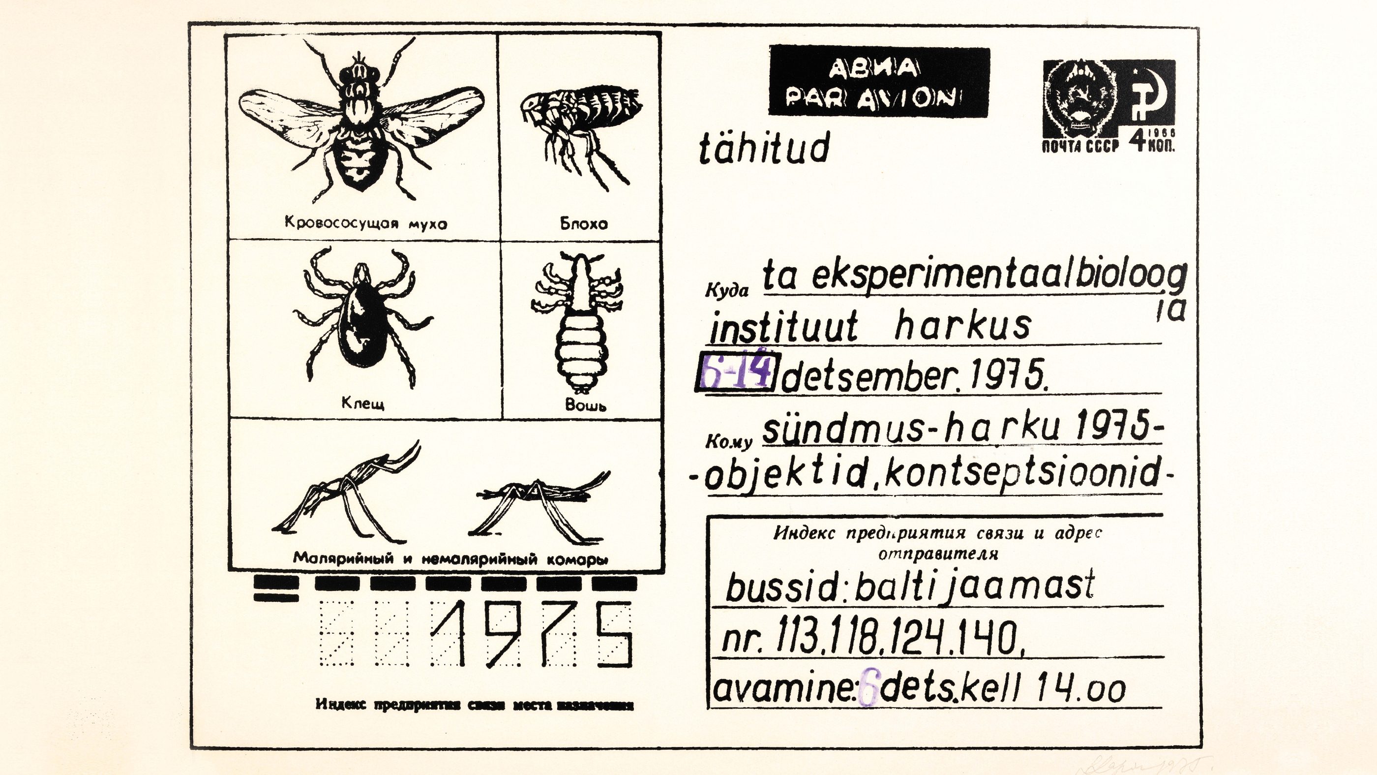 Harku 1975: Objects, Concepts - Kumu kunstimuuseum