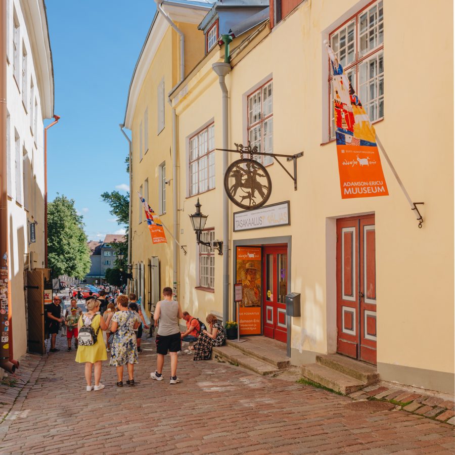 Merike Estna and I’m a painting - Kumu kunstimuuseum